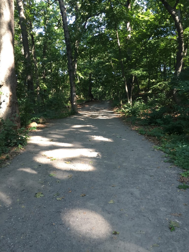 Different Paths To Your Goal - Andrea Goeglein is ServingSuccess